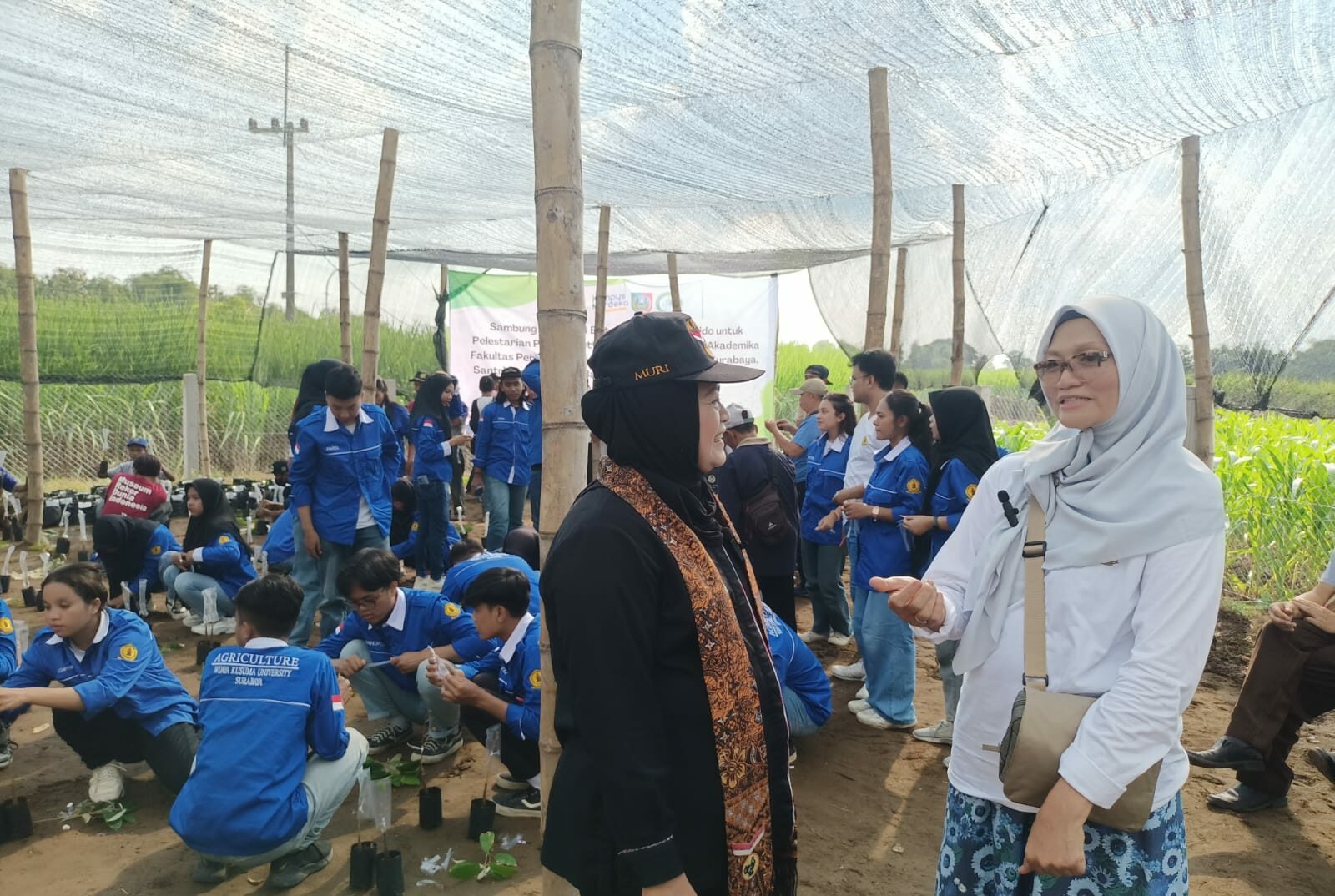 UWKS Pecahkan Rekor MURI ke-10, Kali ini Sambung Dini Bibit Durian ...